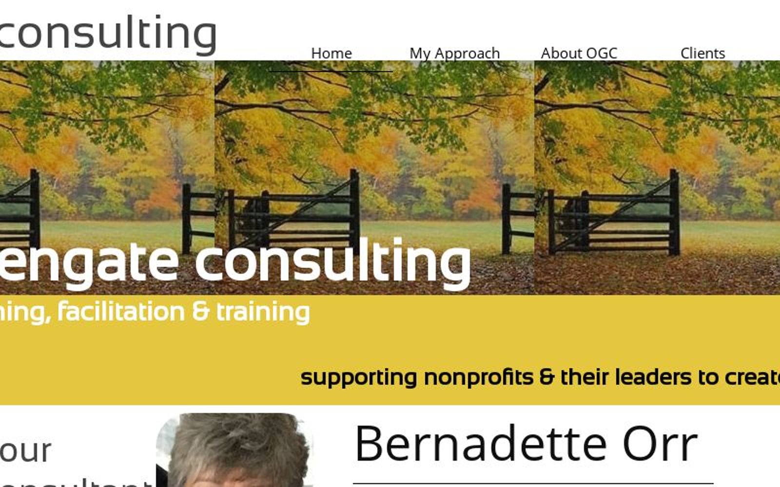 Home [www.opengateconsulting.org]