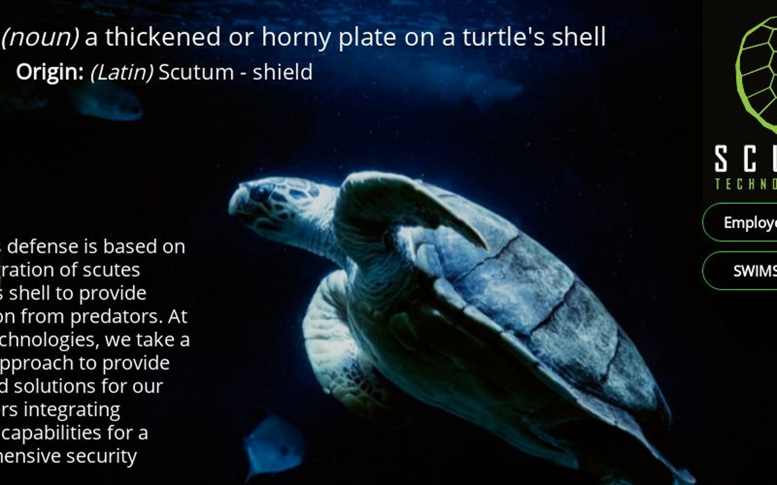 Home [www.scute.tech]