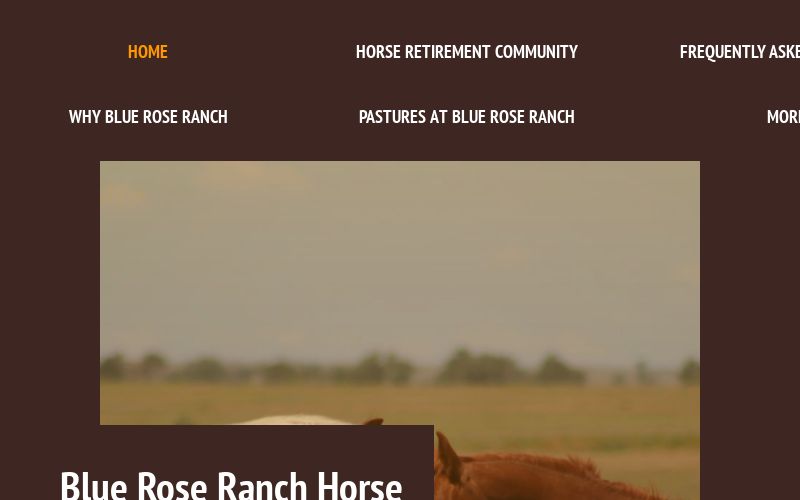 Home [bluerosehorseretirement.org]