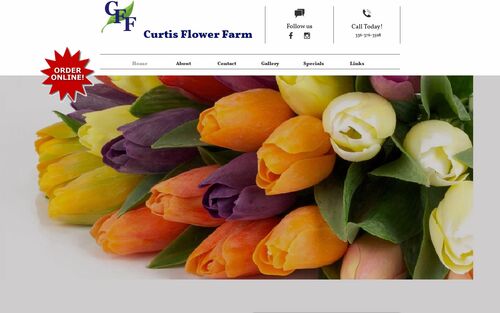 Home [curtisflowerfarm.com]