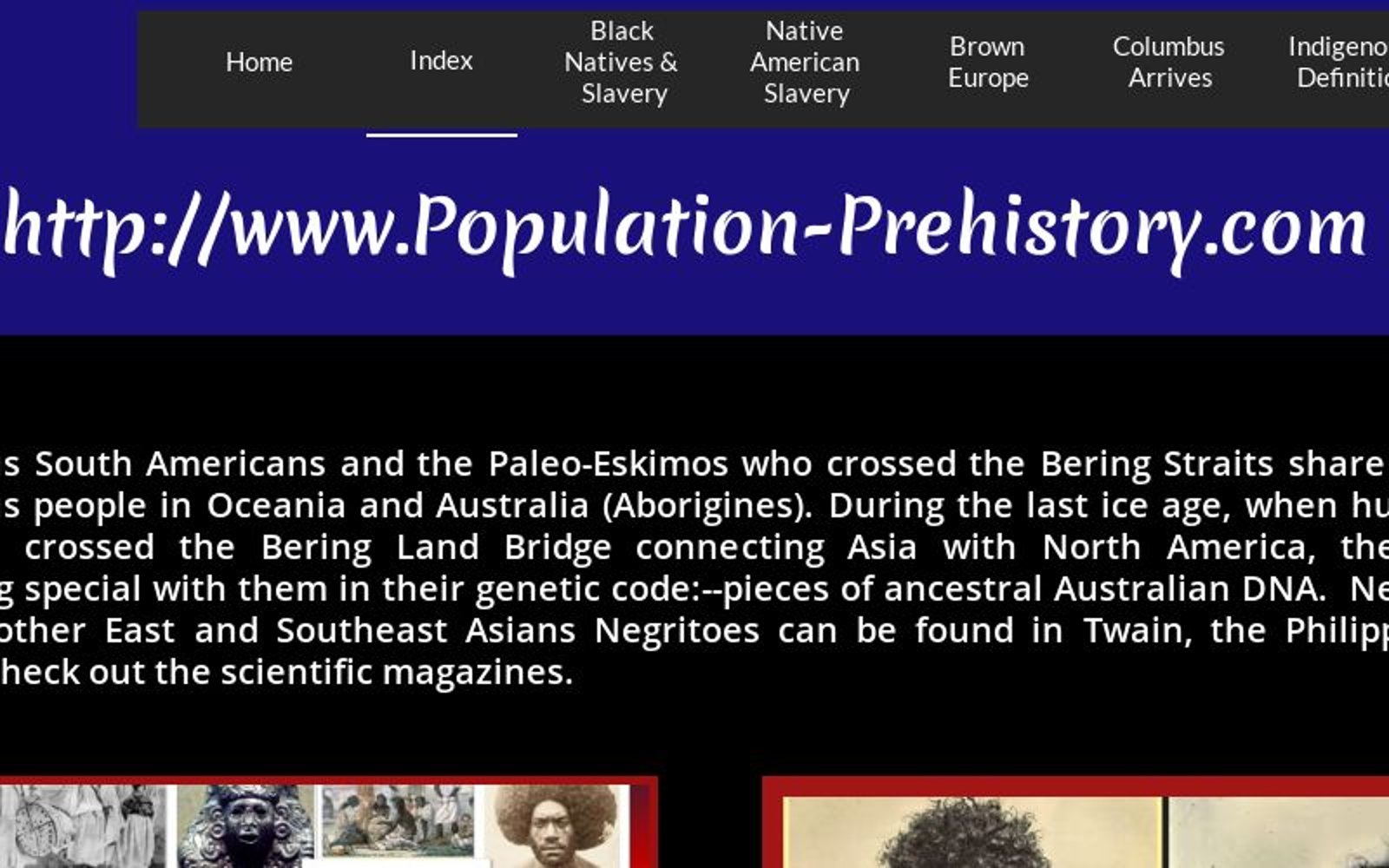 Indigenous Definition