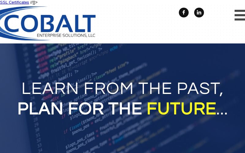 Home [cobaltsolutionsgroup.com]