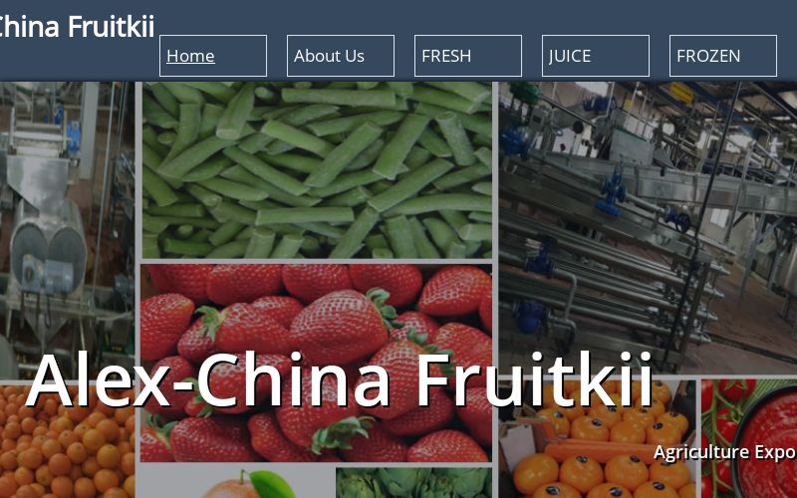 Home [alex-china.com]