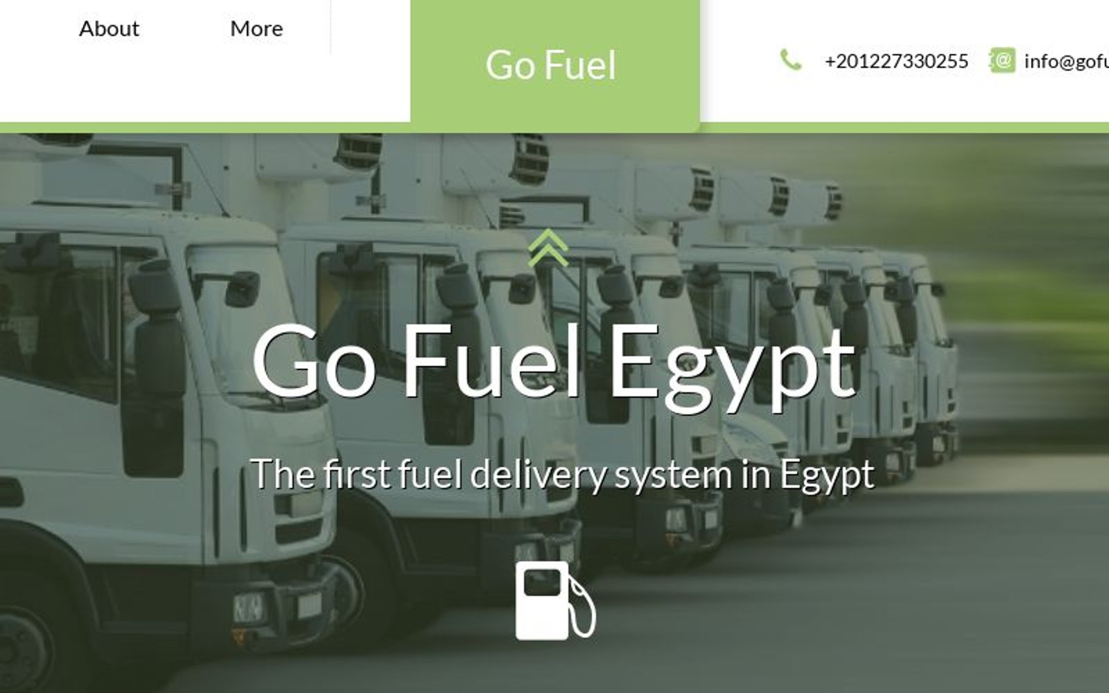 Home [gofuelegypt.com]