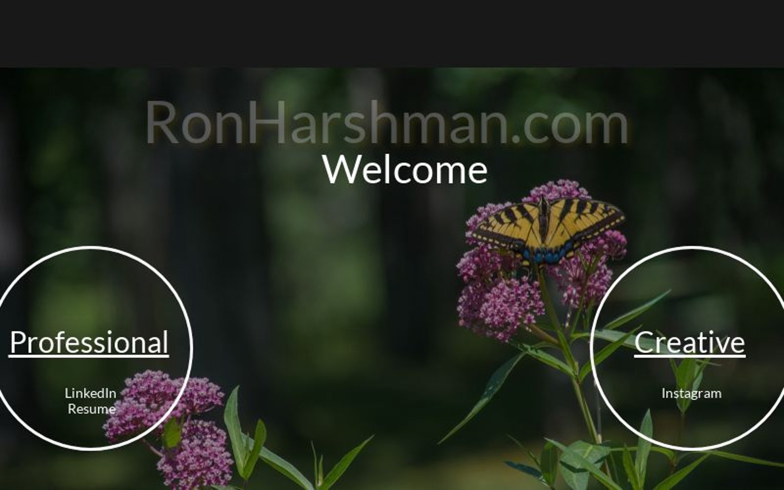 Home [ronharshman.com]