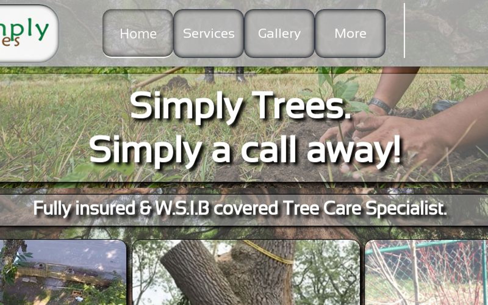 Tree service Peterborough, Simply Trees