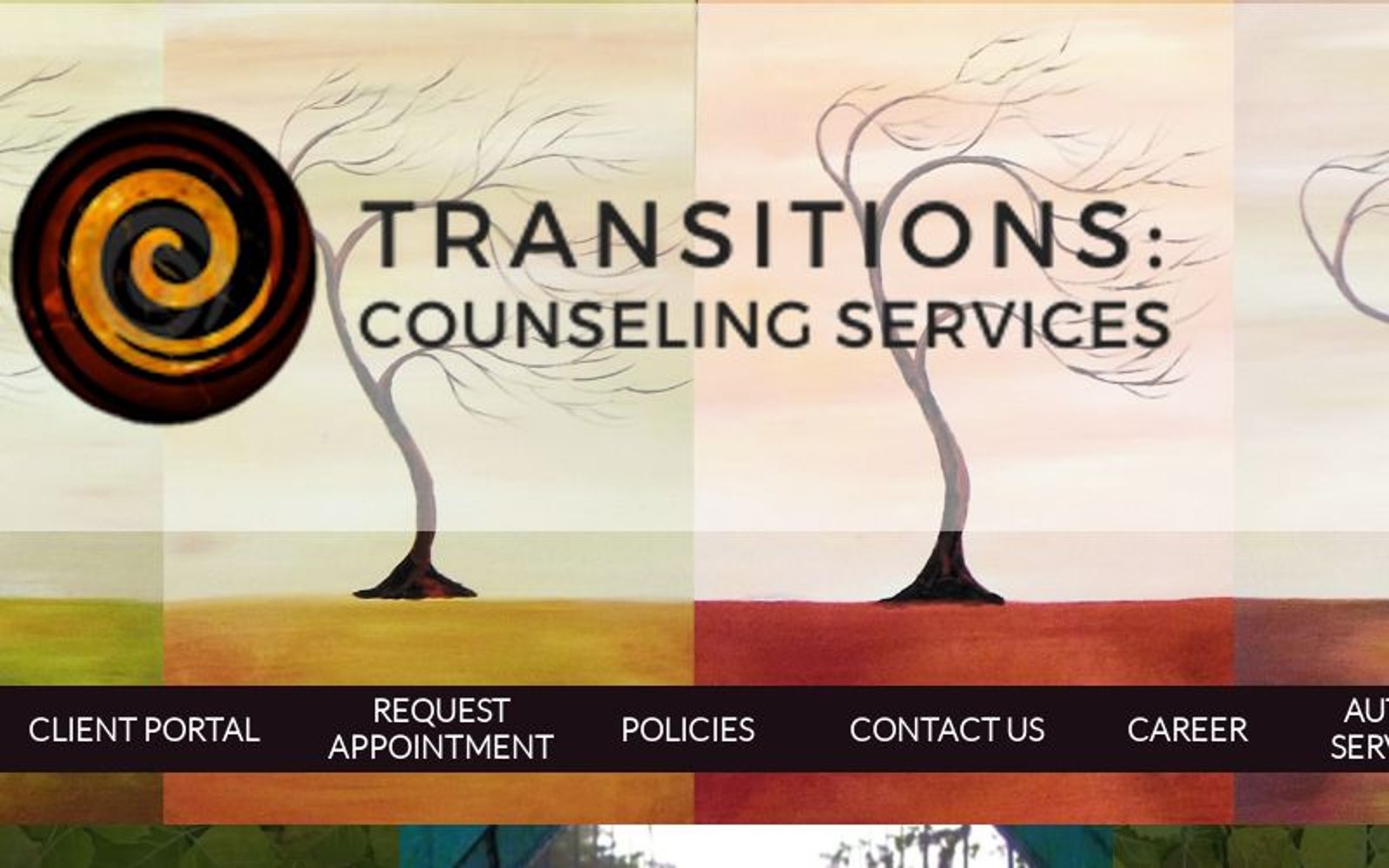 Home [www.transitionscs.com]