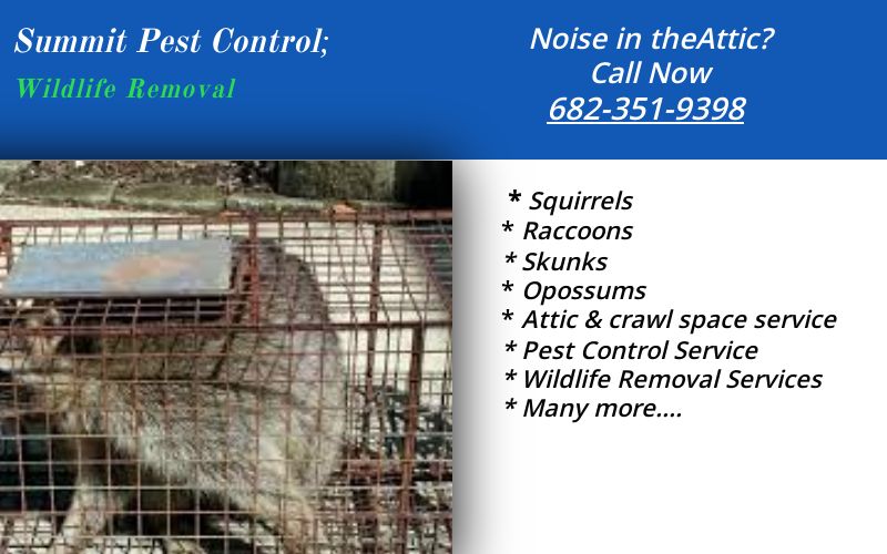 summit pest control; wildlife removal