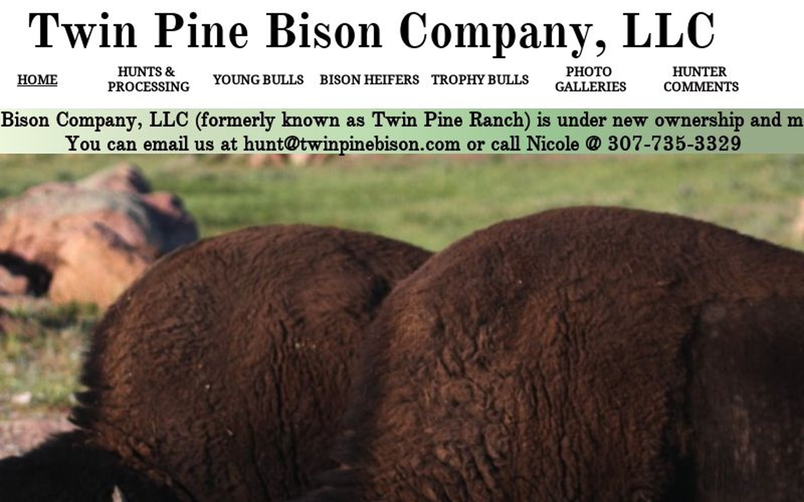 Twin Pine Ranch Bison Hunts - Wyoming