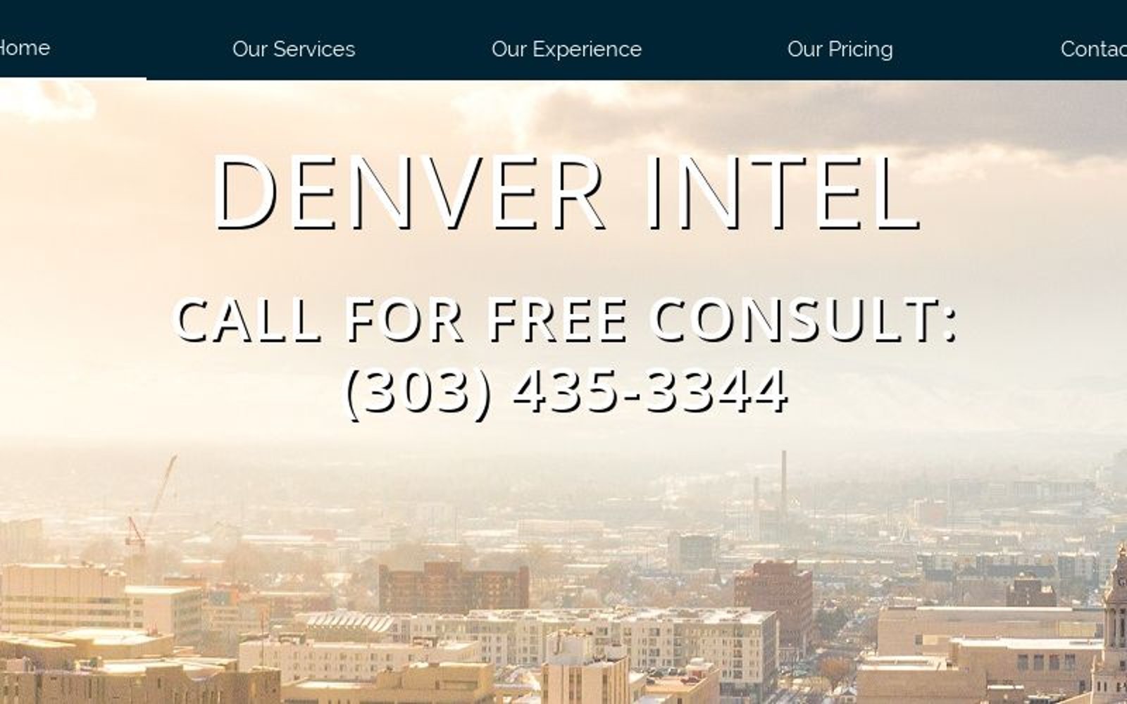 DENVER INTEL - Denver's TOP Investigators