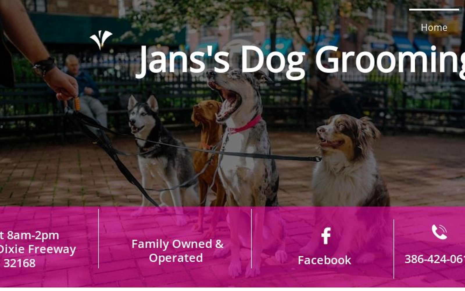 Home [jansdoggroomingnsb.com]