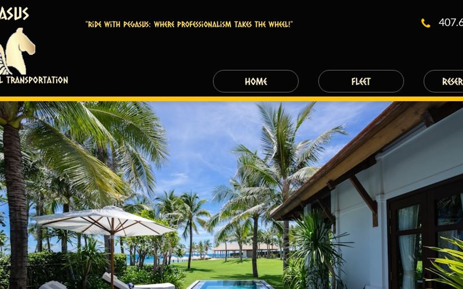 Home [www.pegasusconnect.net]