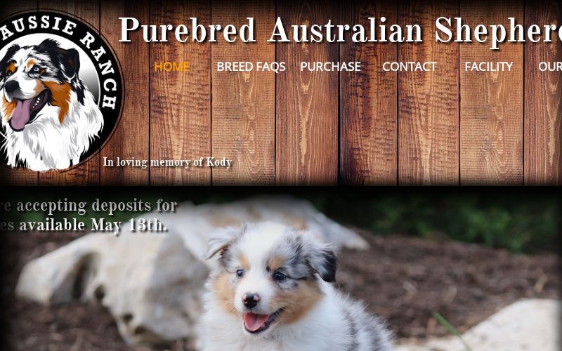 Home [texasaussieranch.com]