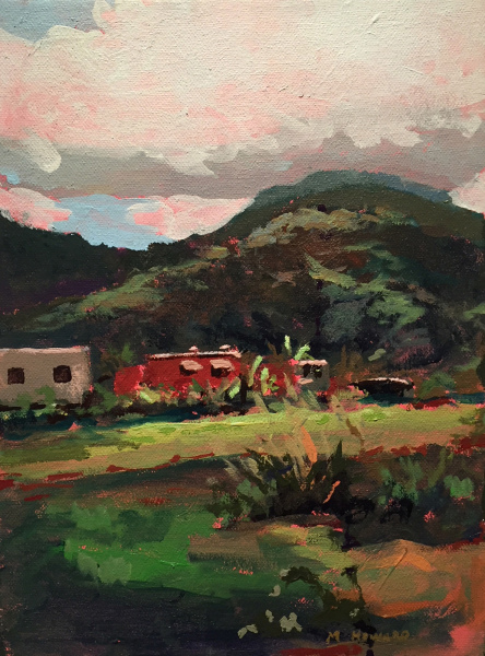 Haleiwa Art Gallery - Mark Howard