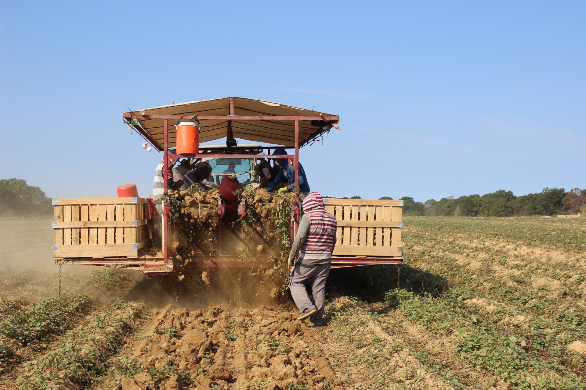 Peebles Organic Farms