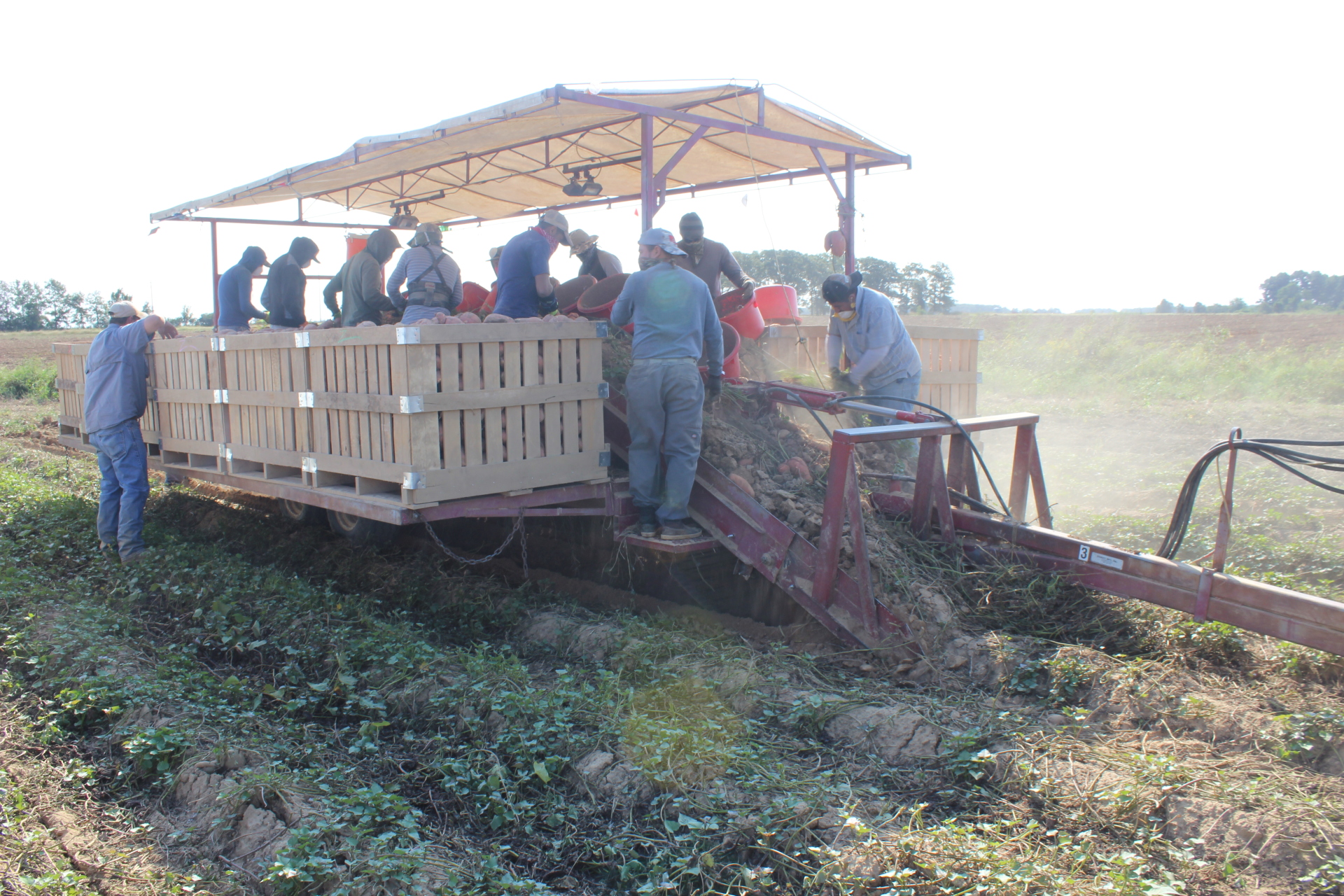 Peebles Organic Farms