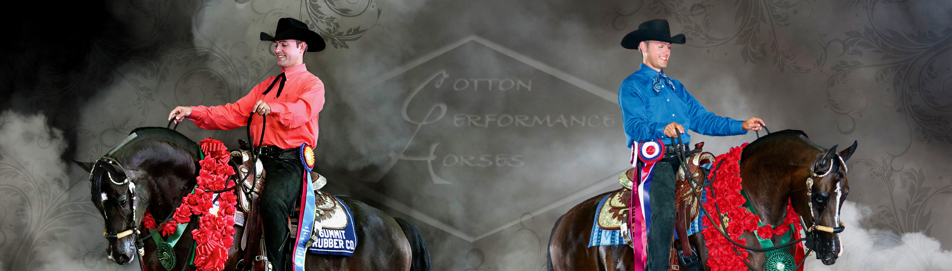 Home [cottonperformancehorses.com]