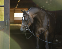 Home [ghostpinesfarm.com]