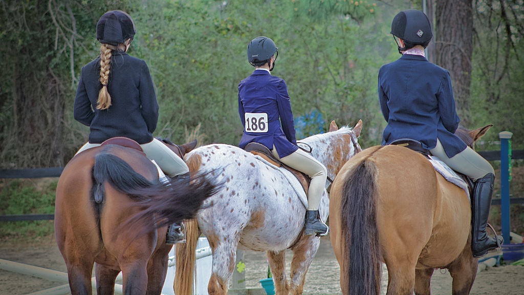 Home [hanoverstables.net]