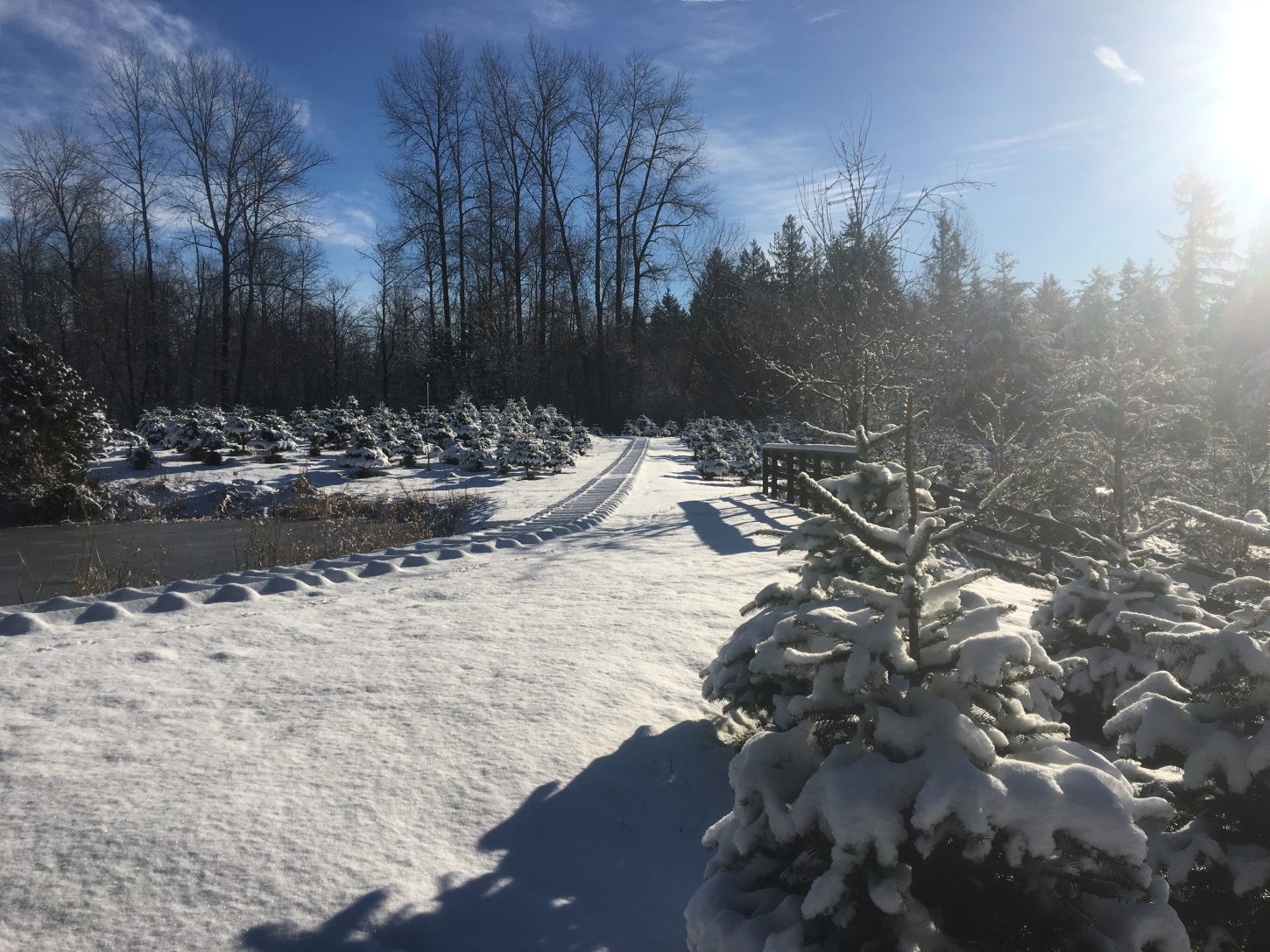 Home [www.crystalcreektreefarm.com]