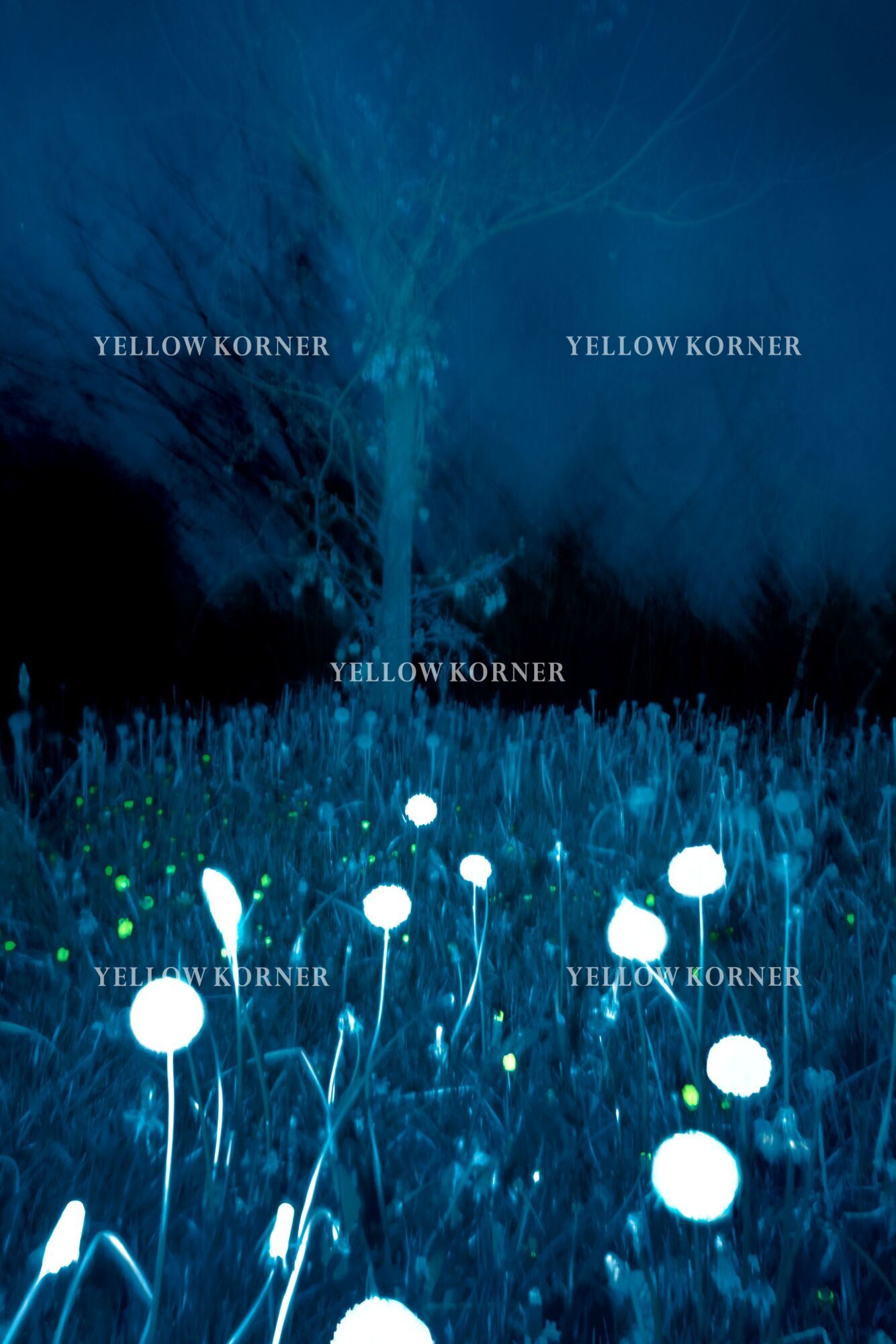 Nature study 9, Paisaje, Julia Wimmerlin · Fotografías de arte ...