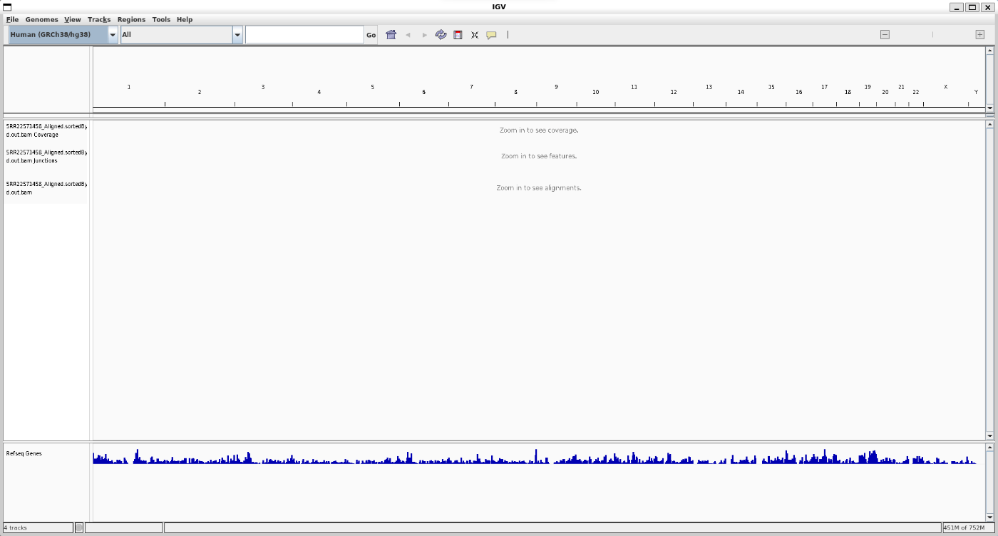 ゲノムブラウザでマッピング結果の可視化｜WindowsでRNAseq解析 -fastqファイルから発現量算出まで-