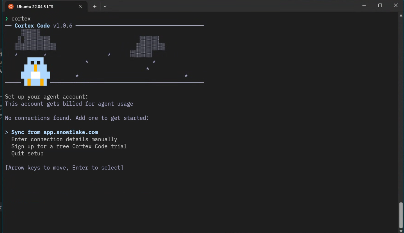 Cortex Code CLI で遊ぼう