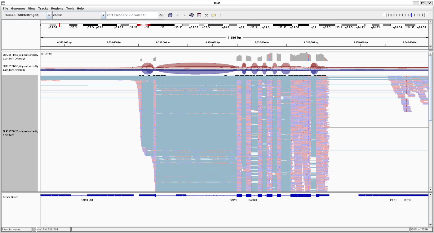 ゲノムブラウザでマッピング結果の可視化｜WindowsでRNAseq解析 -fastqファイルから発現量算出まで-