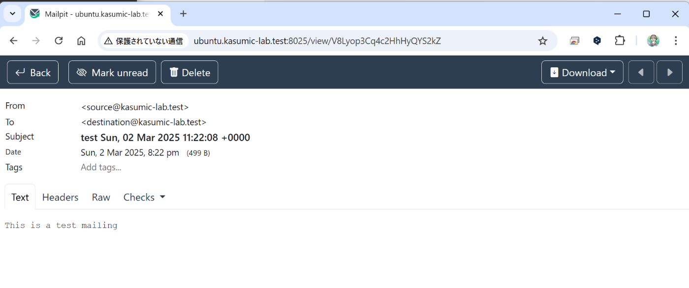 コンテナでテスト用smtpサーバ(mailpit)をサクッと準備する@Docker on Ubuntu 24.10