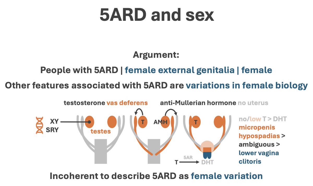 5α-還元酵素欠損症（5ARD）を持つ人々は生物学的男性であり、女性ではない