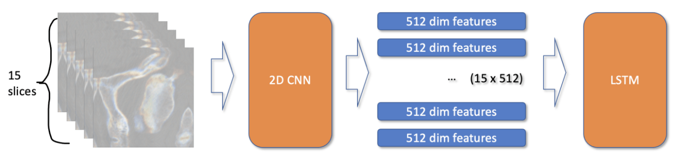 Kaggle RSNA 2022 1st Place Solution