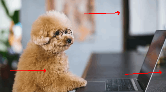 軌跡の指定が可能な動画生成モデル「DragNUWA」を試す