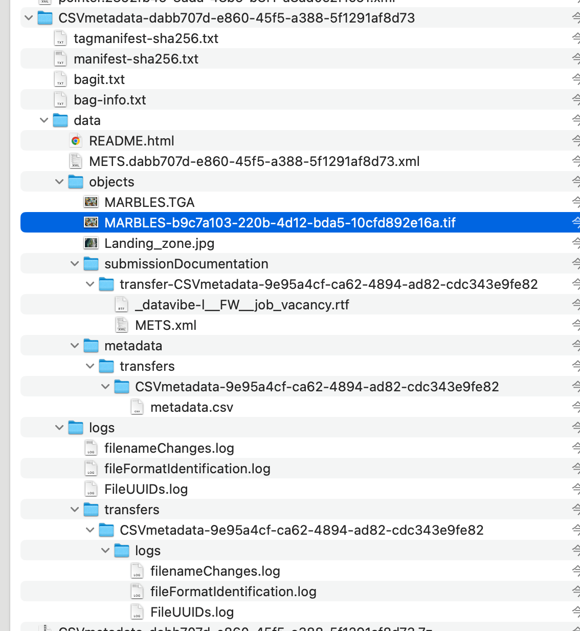 ArchivematicaのNormalizationの挙動の確認