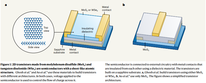 材料科学『その他（1高エントロピー、2ソフト材料（ゲル））・MOFCOF・相転移・TDMS・構造材料（1構造色、2ゼオライト）・界面制御』