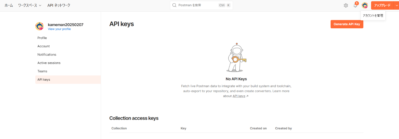 Postman MCP Server の VS Code 拡張