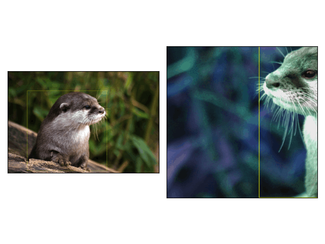 TorchVisionのtransforms.v2を触ってみた