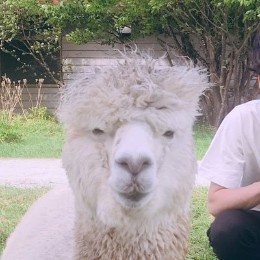 AWS IoT Coreまでの通信ってどうなっているの？【TCP/TLS/MQTT】