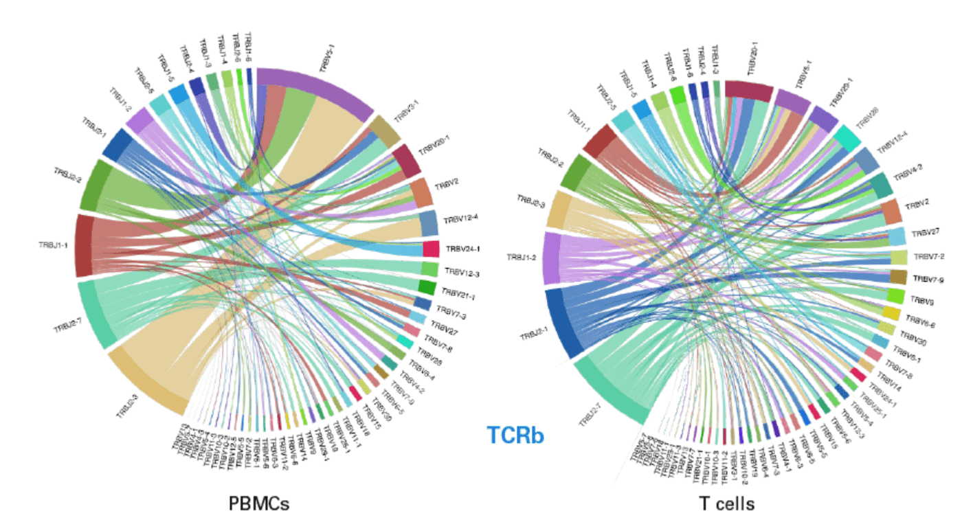 circlizeを使って、レパトアのV-J gene pairingのchord diagram(コードダイアグラム)を書く方法