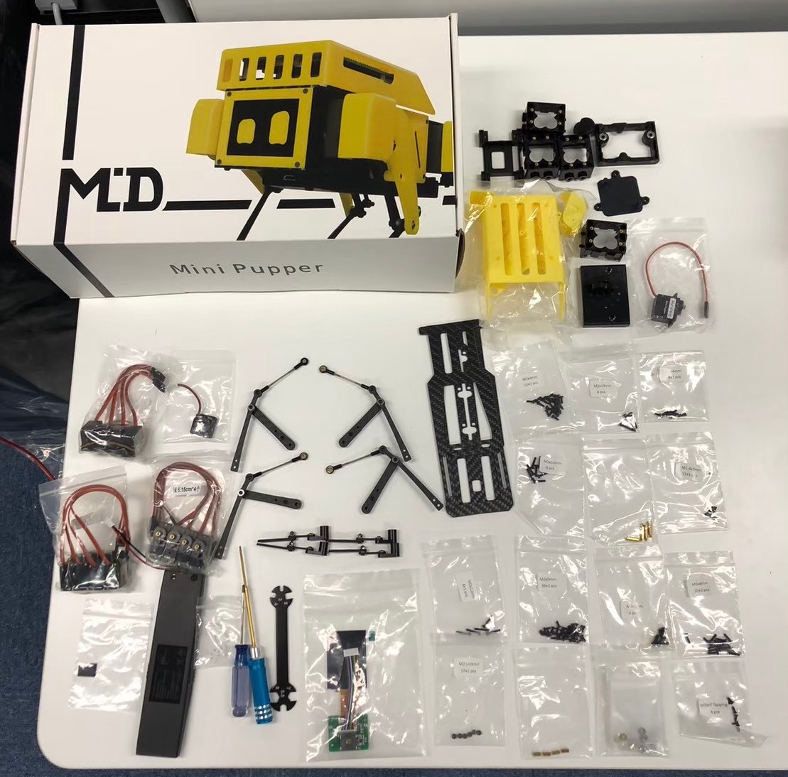はじめての犬型ロボット制御奮闘記：Mini Pupper 1と駆け抜けた大阪大学自主研究奨励事業2023