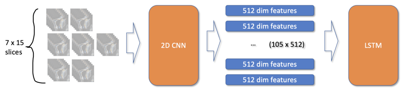 Kaggle RSNA 2022 1st Place Solution