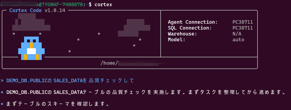 Cortex Code CLI：カスタムSkillを15分で2つ作って、データ品質チェック→自動修復をワンコマンド化してみた