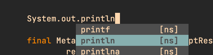 NeoVim (SpaceVim) + Javaをトライ