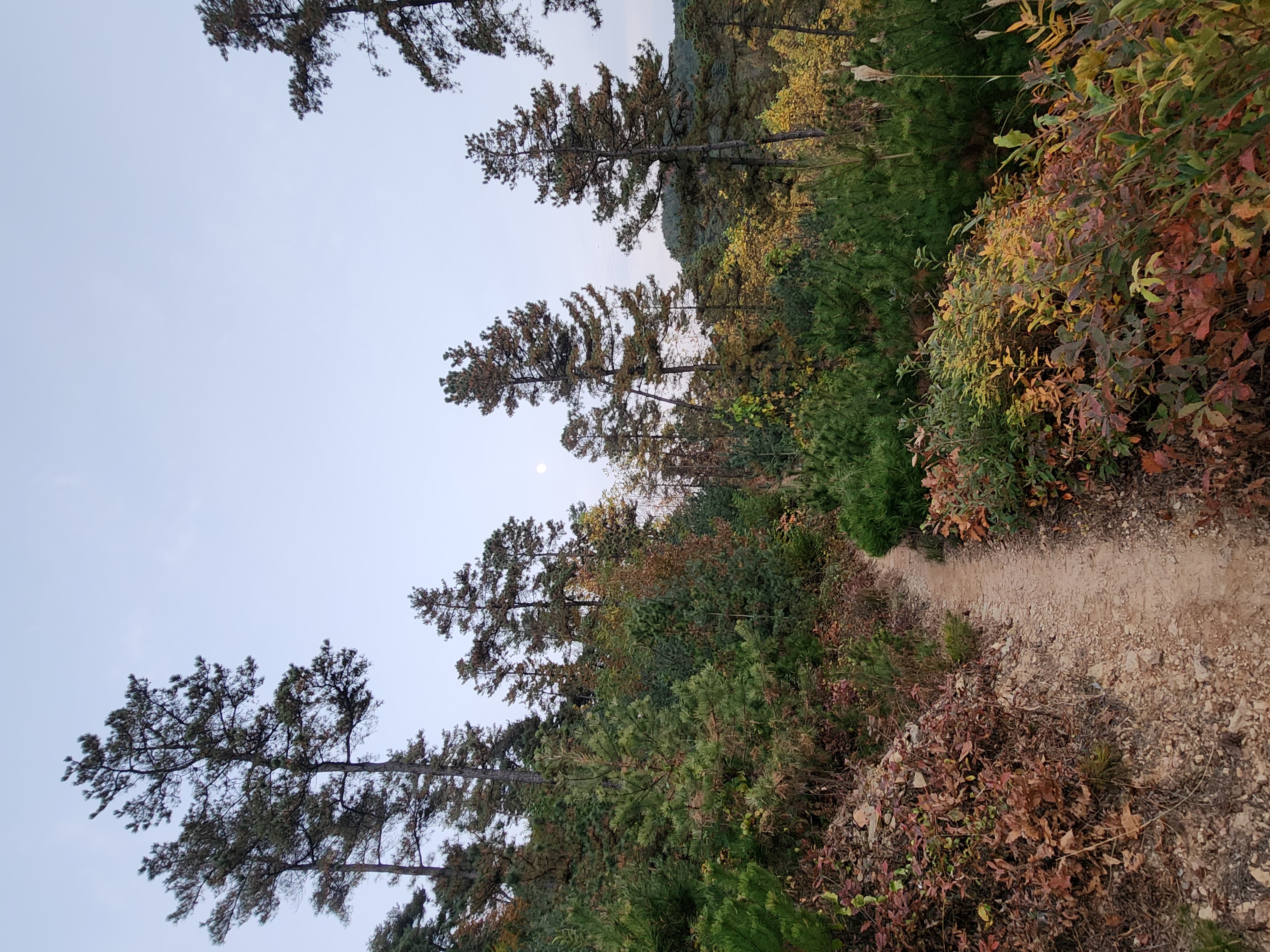 '한양수자인' 116동 매매, 전세, 평수 | 집품